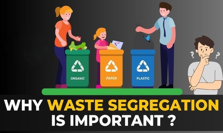 Role of Waste Segregation in Environmental Protection